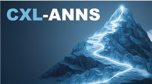 KAIST, 111배 빠른 검색엔진용 CXL 3.0 기반 AI 반도체 개발